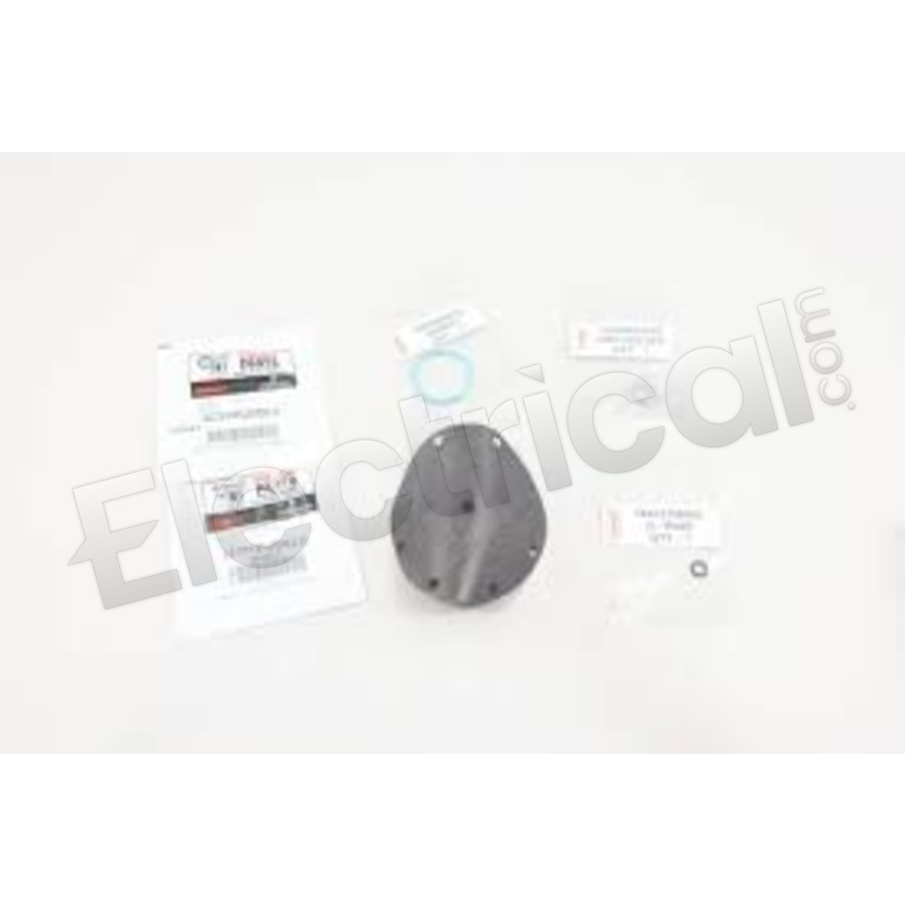 R620X000A22 Emerson Valve Repair Kit Valve